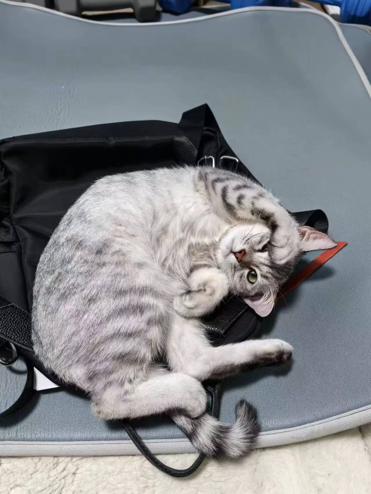 BDAL LAB’s Homepage